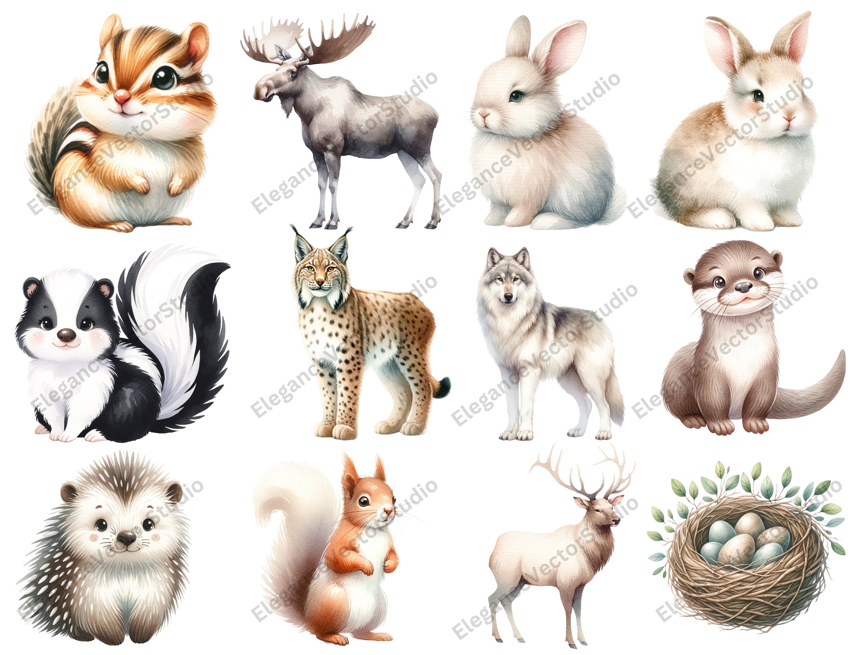 Woodland Animals, Watercolor Forest Animals PNG, Nursery Clipart ...