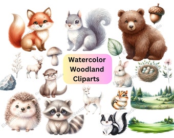 Woodland Animals, Watercolor Forest Animals PNG, Forest Baby Animals ...