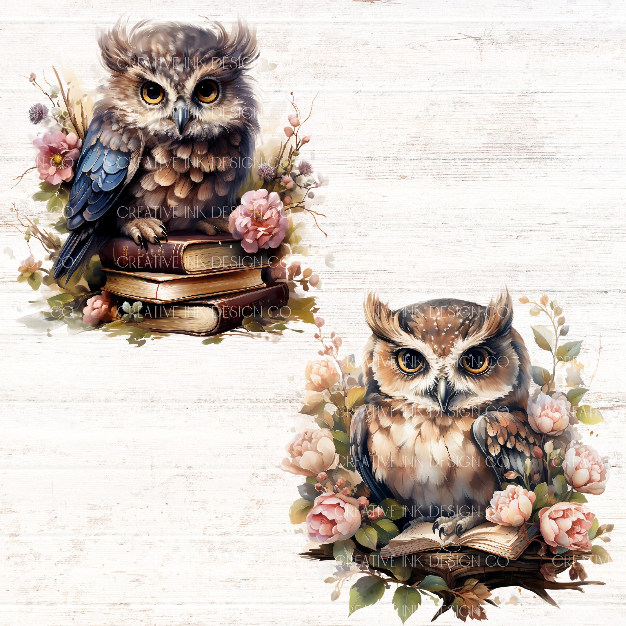 Watercolor Owl and Book Clipart 10 High Quality PNG and JPEG - Etsy