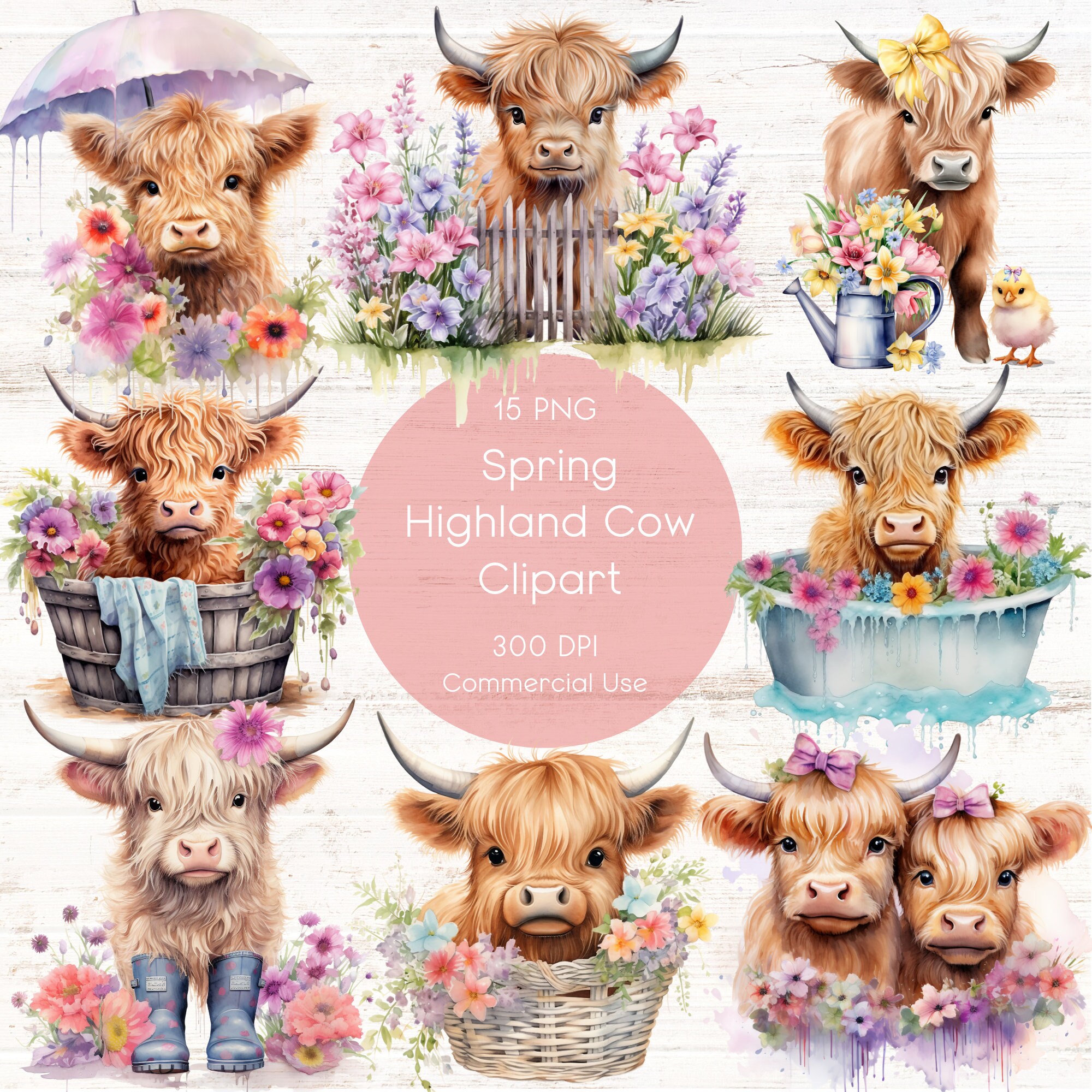 Watercolor Spring Highland Cow Clipart, 15 High Quality Png's, Junk ...