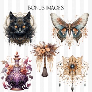 Boho Halloween, 20 PNG Halloween Clipart Bundle, Boho Floral, Boho PNG ...