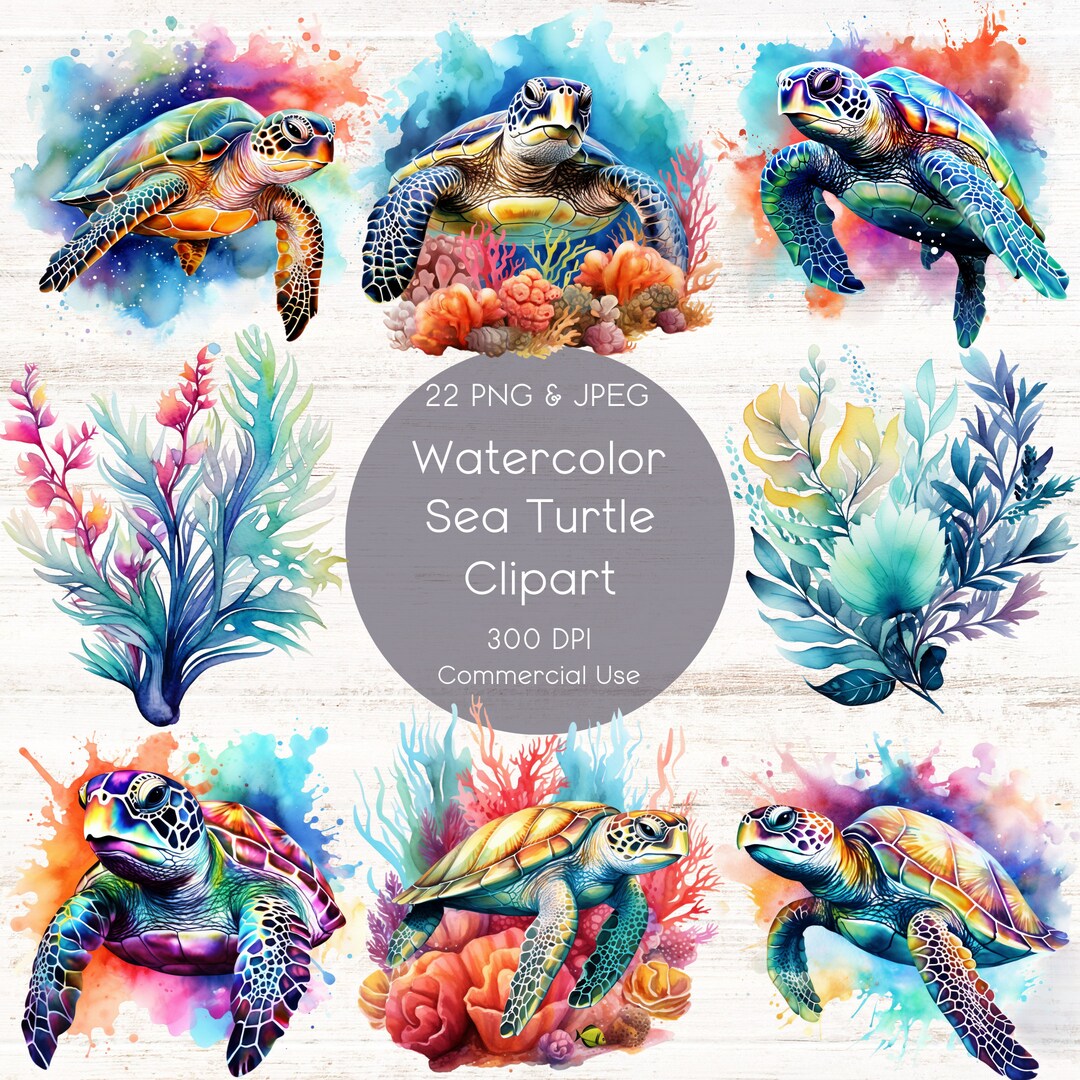 Set of 22 Vibrant Sea Turtle Clipart Colorful Ocean Life Digital ...