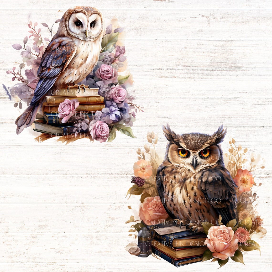 Watercolor Owl and Book Clipart 10 High Quality PNG and JPEG - Etsy