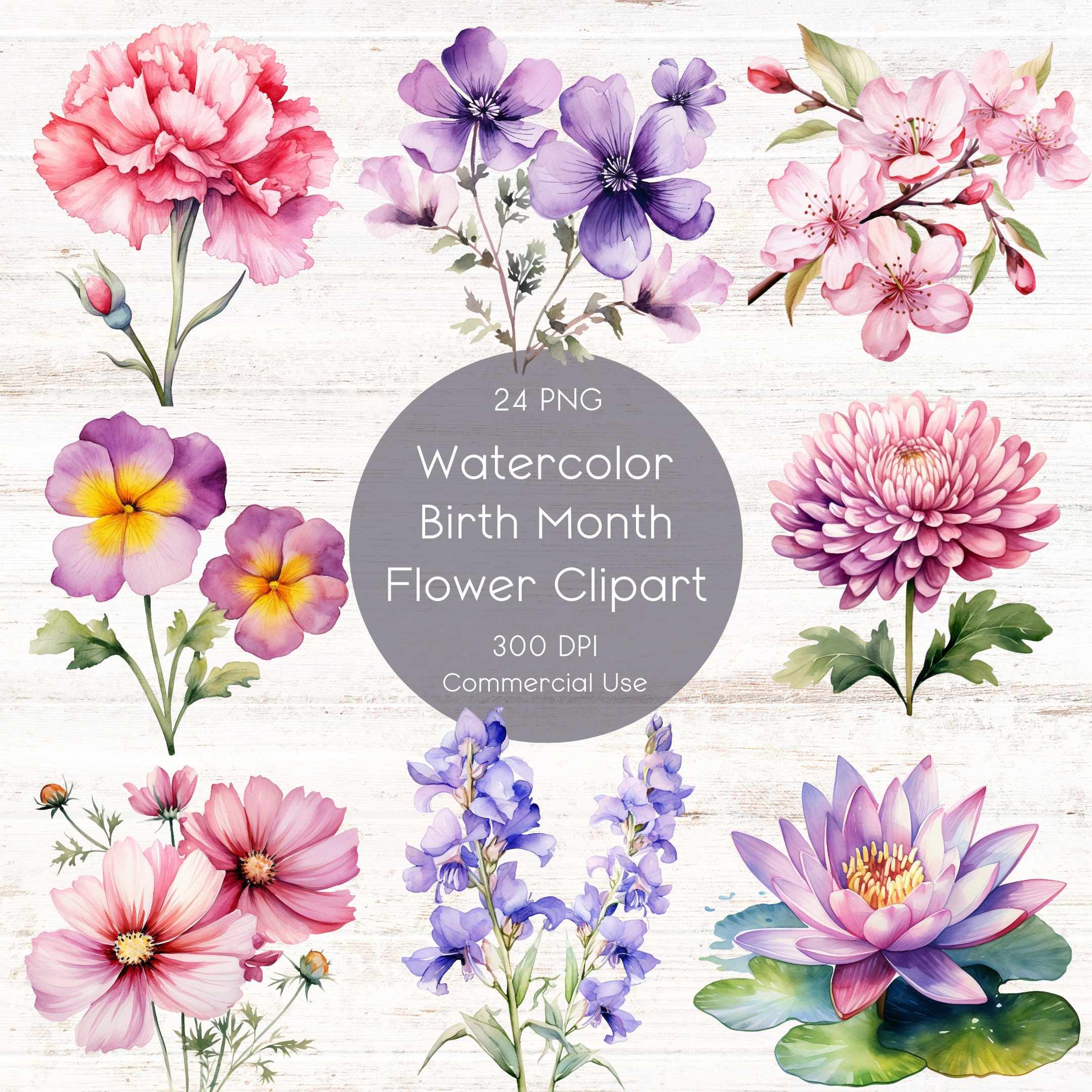 Watercolor Birth Month Flowers Clipart Set Instant Download, Floral ...