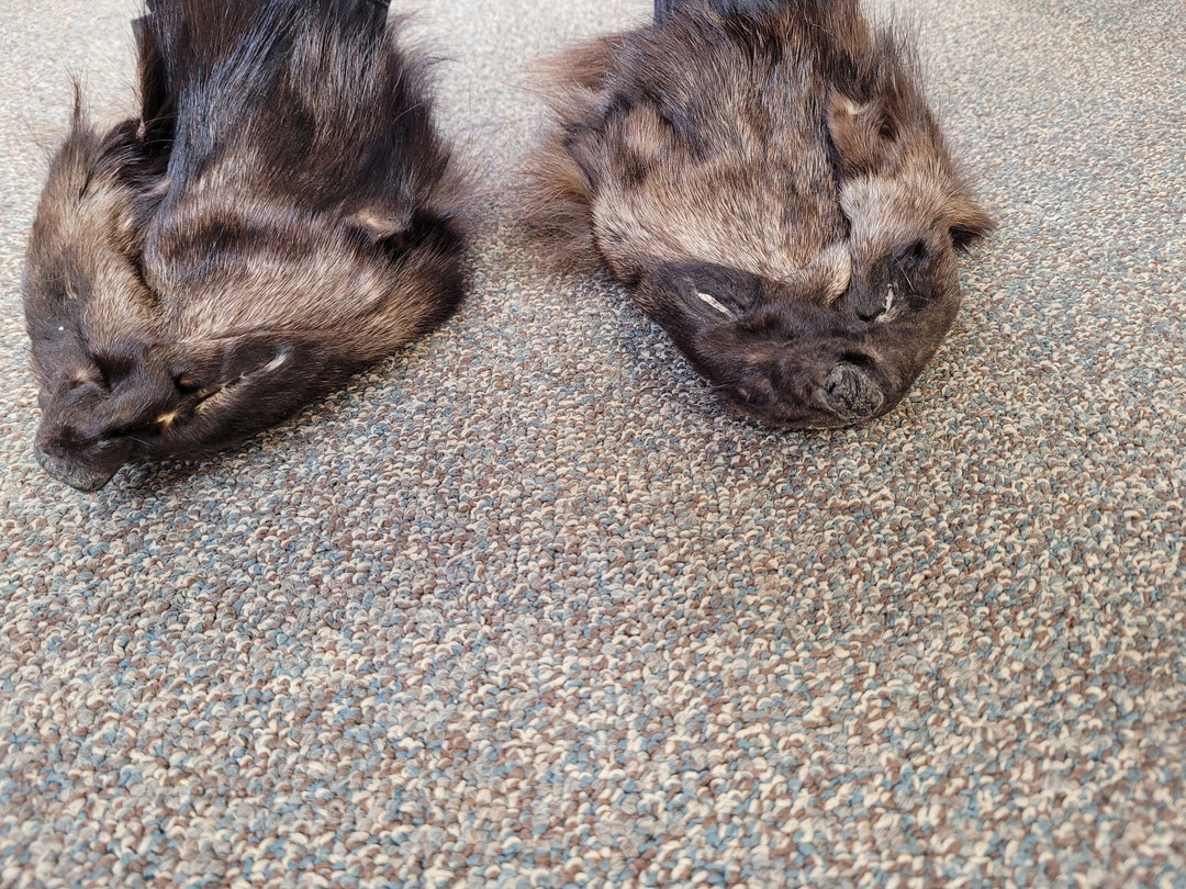 Wolverine Moccasin Slippers - Etsy