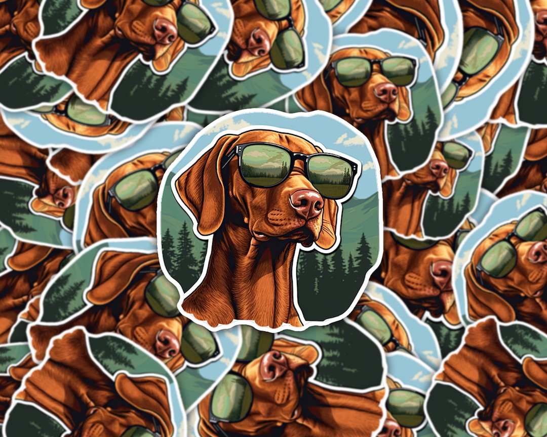 Vizsla Sticker, Vizsla Sunglasses Sticker, Hungarian Pointer, Pointer ...