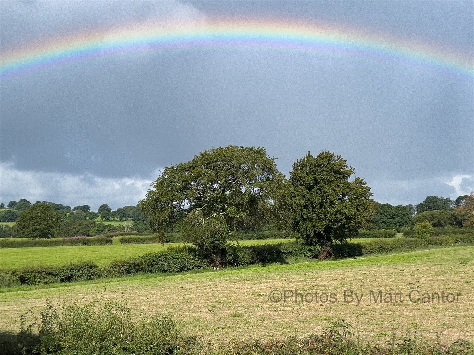 Instant Download Rainbow Over Trees Digital Print, Digital Download ...