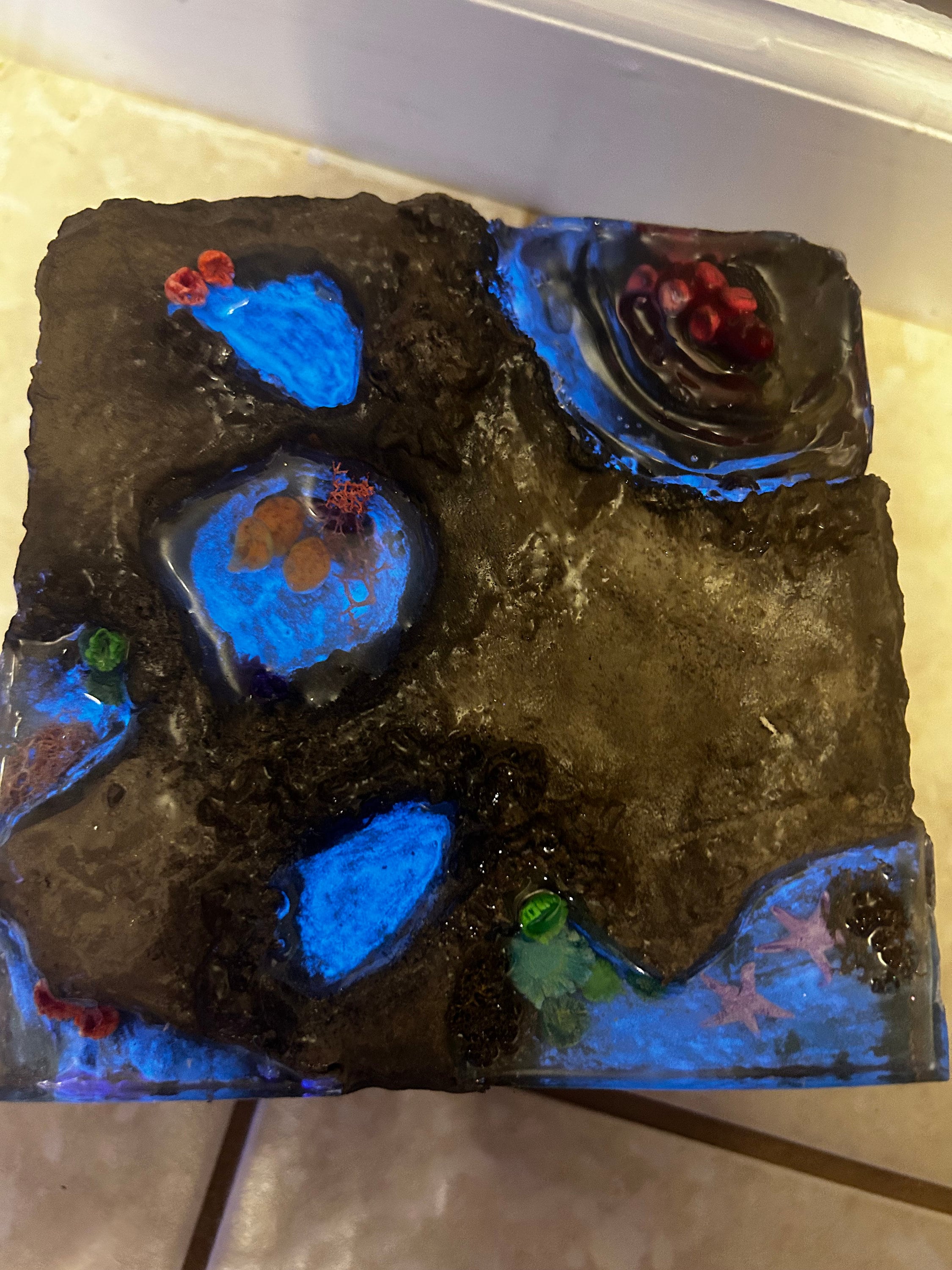 Sea Monster Tide Pool Diorama - Etsy