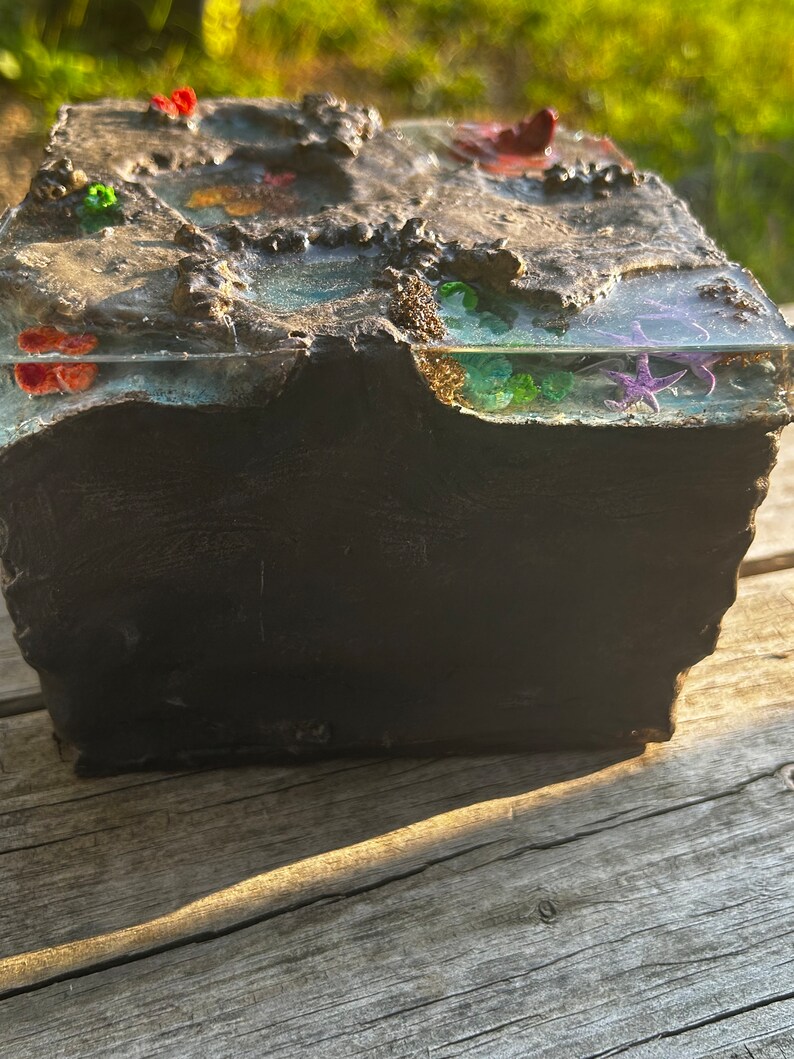 Sea Monster Tide Pool Diorama - Etsy