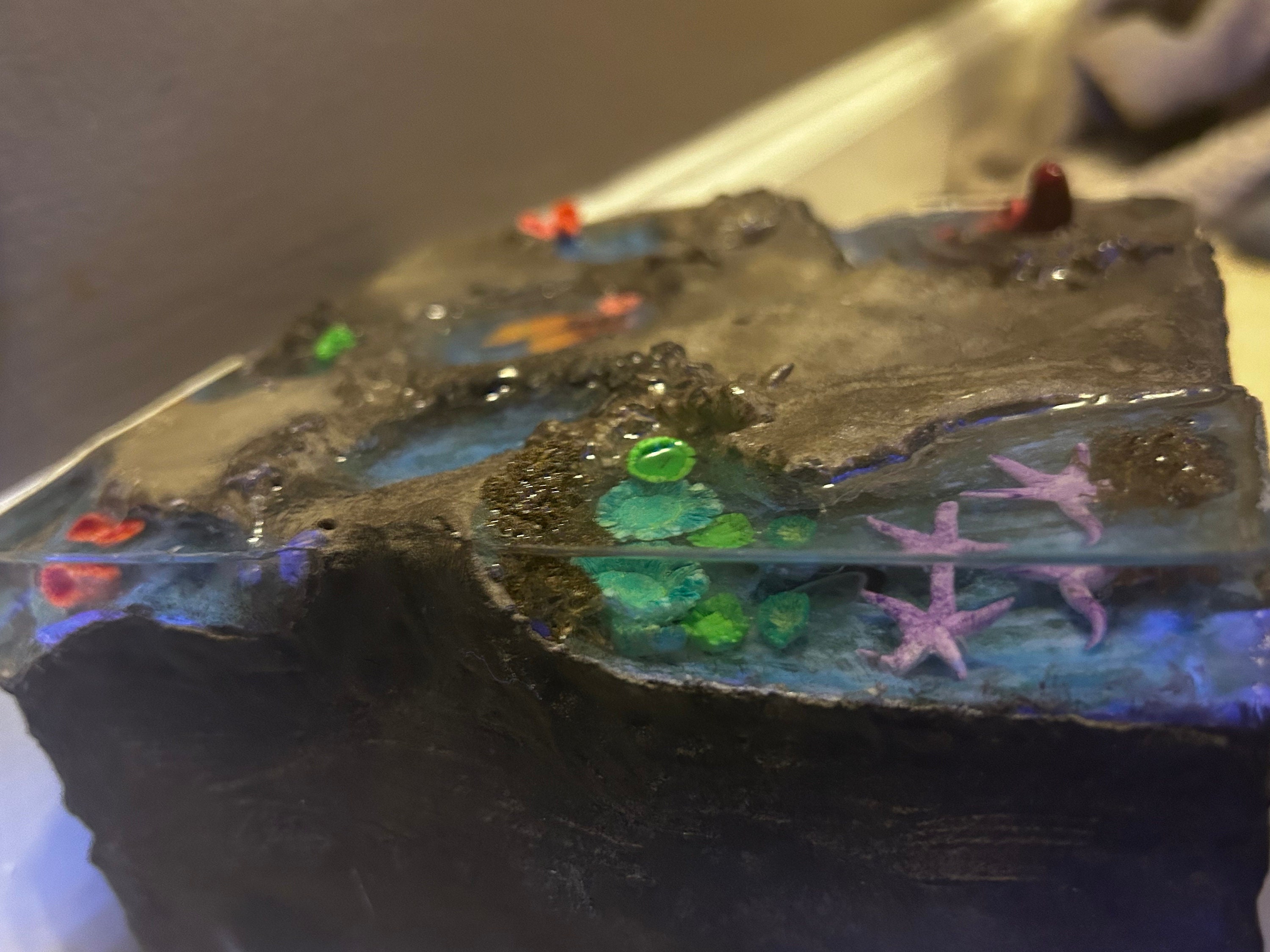 Sea Monster Tide Pool Diorama - Etsy