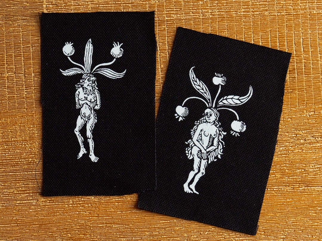 Female and Male Mandrake Pair mandragora. Medieval Woodcut. Screen ...