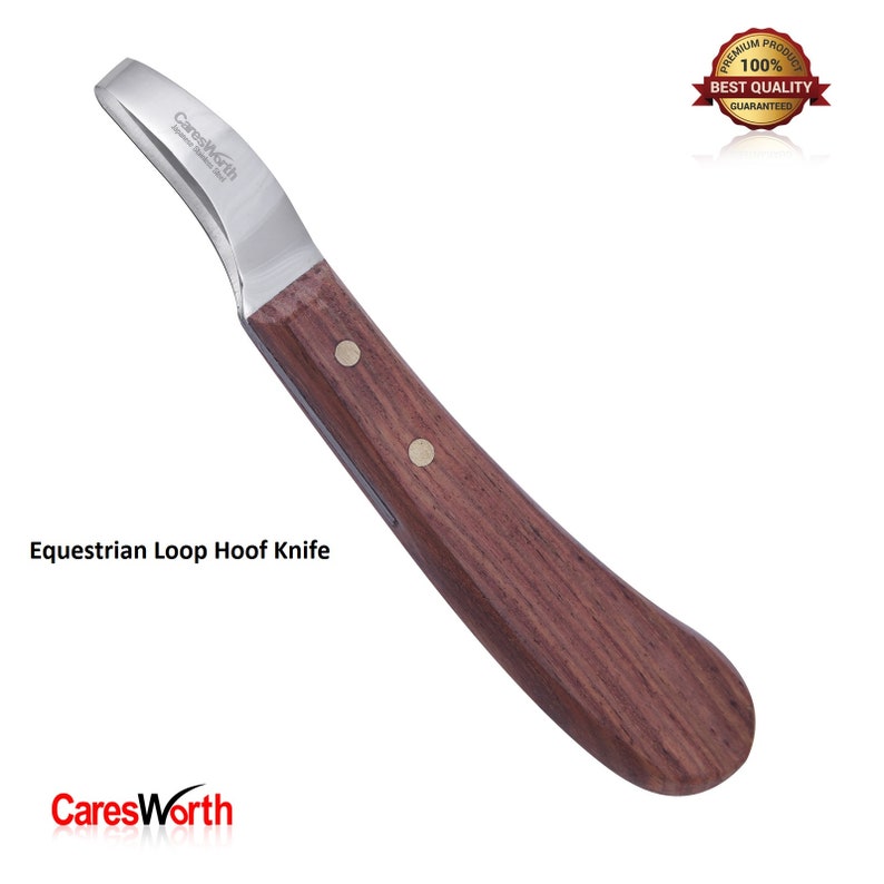 Farriers Tool Equestrian/horse Loop Hoof Knife - Etsy