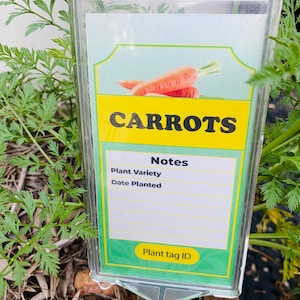 Plant Tag ID Transparent Label Holder and Plant Labels - Etsy