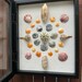 SWFL Shells Shadow Box - Etsy