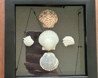 HUJI Mini Scallop Shells Shadow Box Wall Décor MS56275B - Etsy