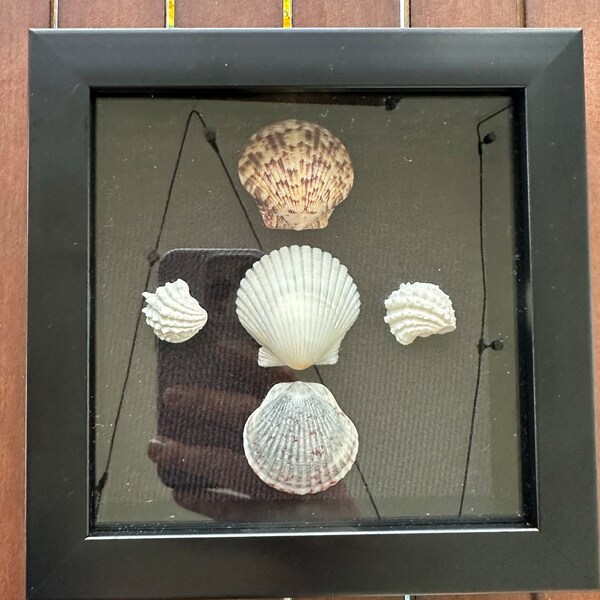 Shell Shadow Box - Etsy