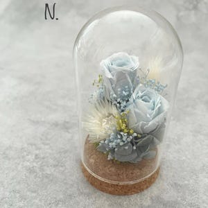 Personalized Message Preserved Rose Glass Dome, Custom Forever Flower ...