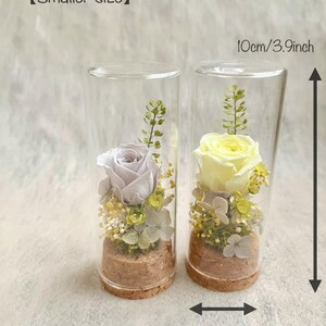 Personalized Message Preserved Rose Glass Dome, Custom Forever Flower ...