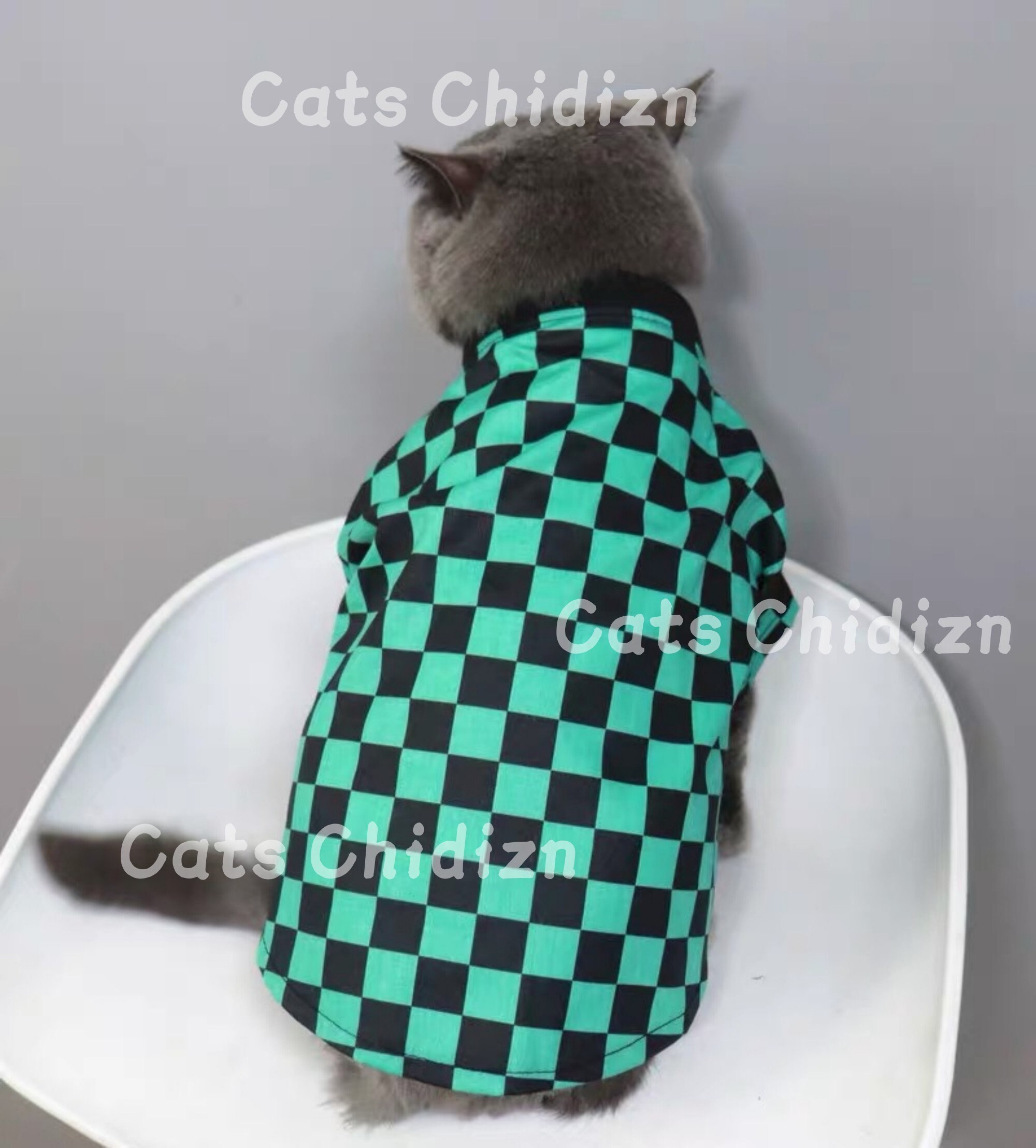 Green Checkered Cat Clothes Cartoon Pet Clothing Cat Jacket - Etsy