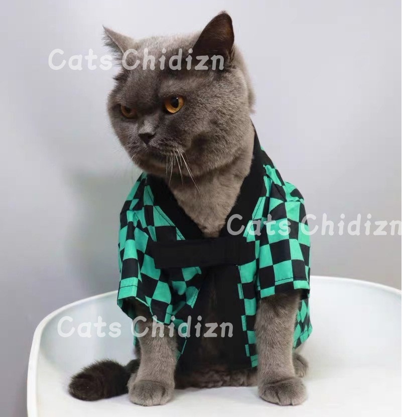 Green Checkered Cat Clothes Cartoon Pet Clothing Cat Jacket - Etsy
