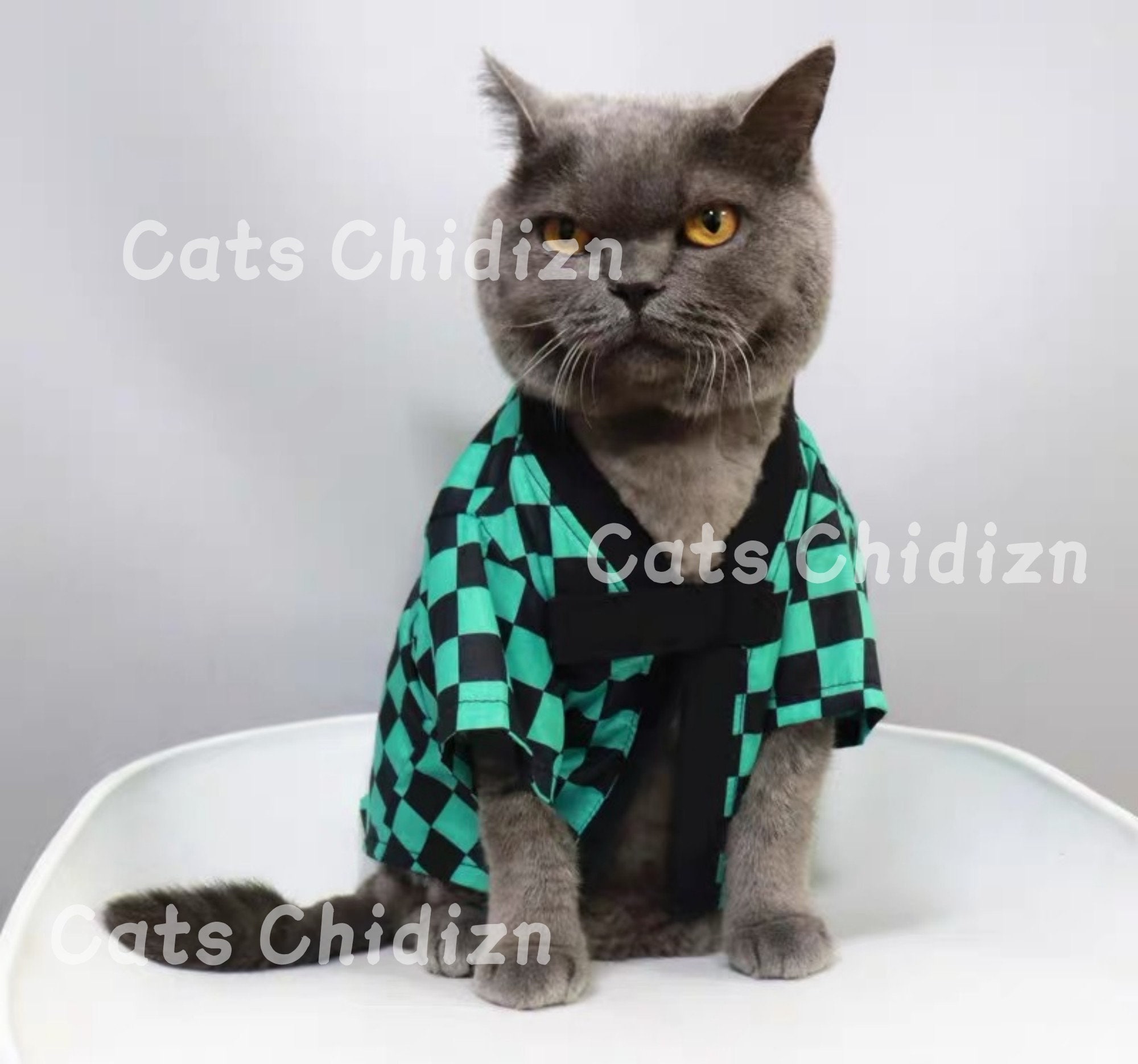 Green Checkered Cat Clothes Cartoon Pet Clothing Cat Jacket - Etsy