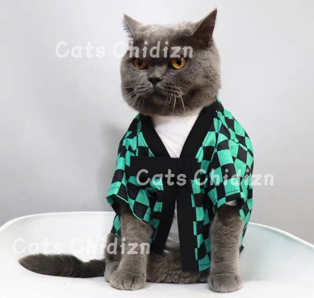 Green Checkered Cat Clothes Cartoon Pet Clothing Cat Jacket - Etsy
