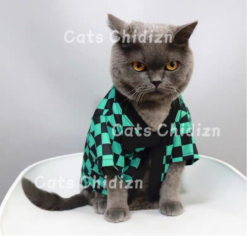 Green Checkered Cat Clothes Cartoon Pet Clothing Cat Jacket - Etsy