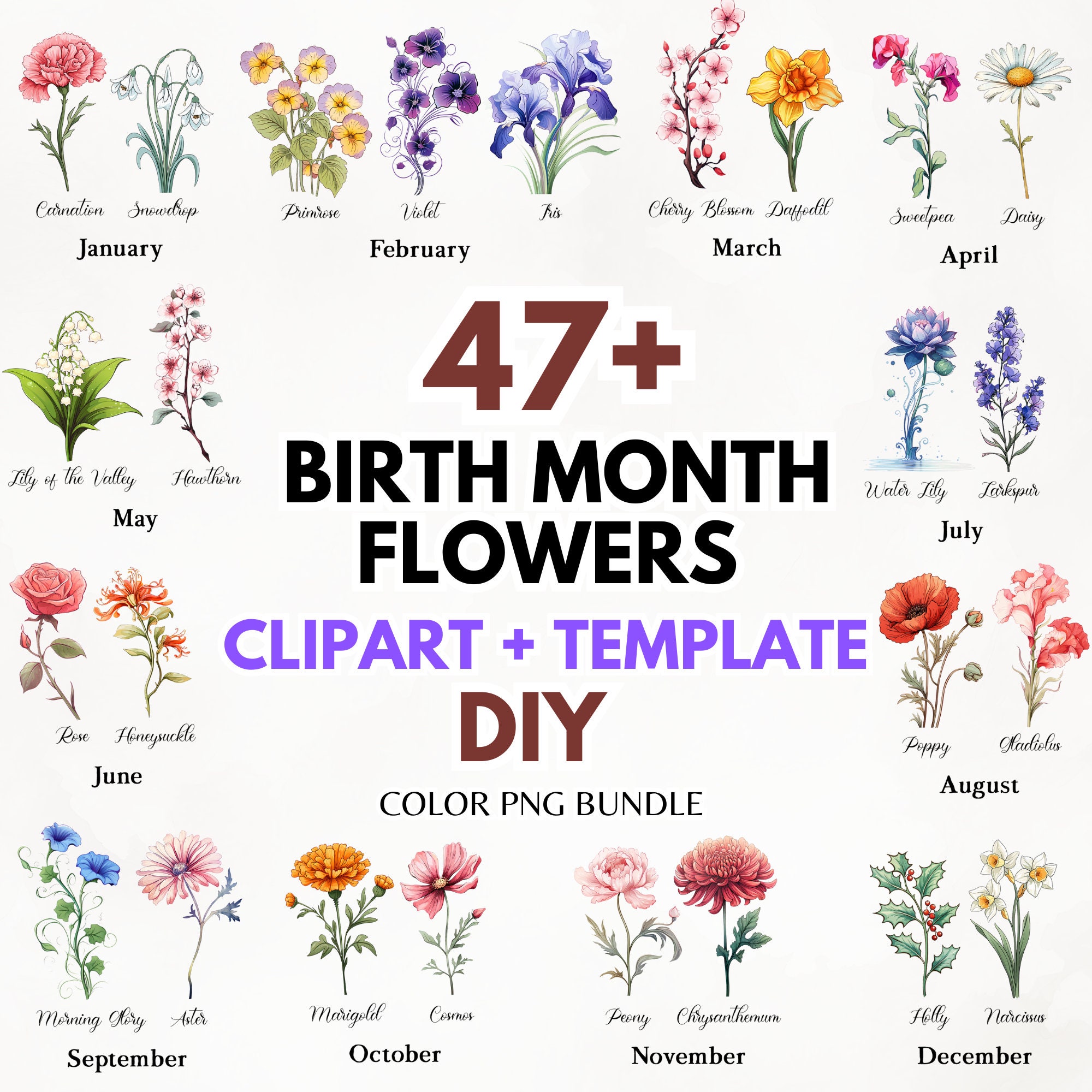 Canva Template DIY Birth Month Flowers, DIY Birth Month Flower Creator ...