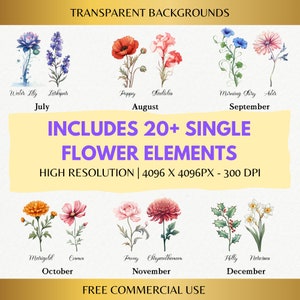 Canva Template DIY Birth Month Flowers, DIY Birth Month Flower Creator ...