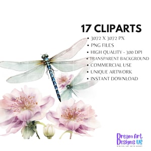 Spring Dragonfly Clipart Watercolor Dragonfly PNG Dragonflies Spring ...