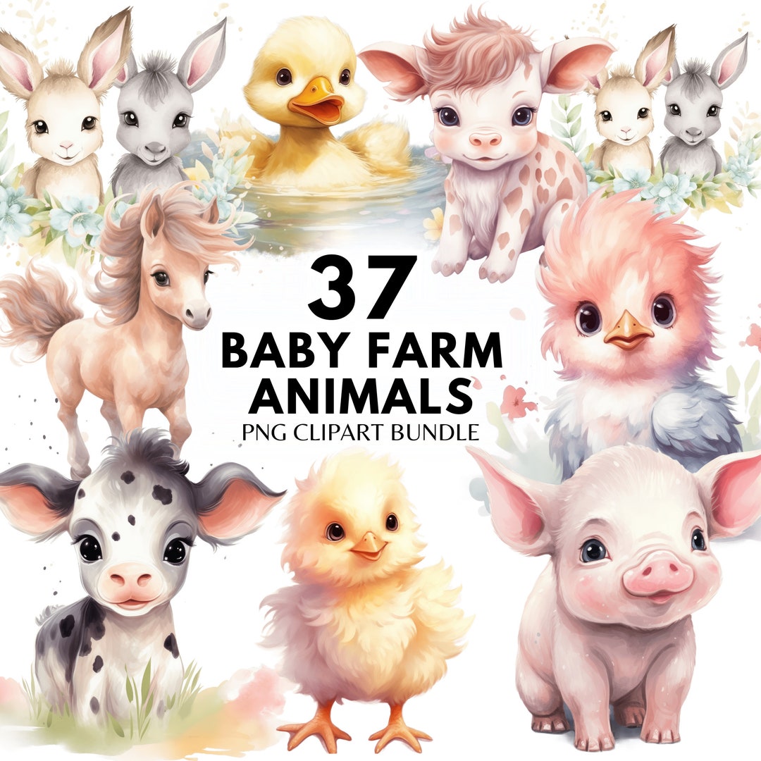 Baby Barn Animals Clipart Farm Animal Watercolor PNG Baby Animal ...