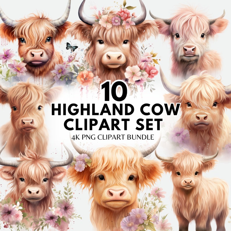 Watercolor Highland Cow PNG Baby Cow Clipart Highland Cow Baby - Etsy