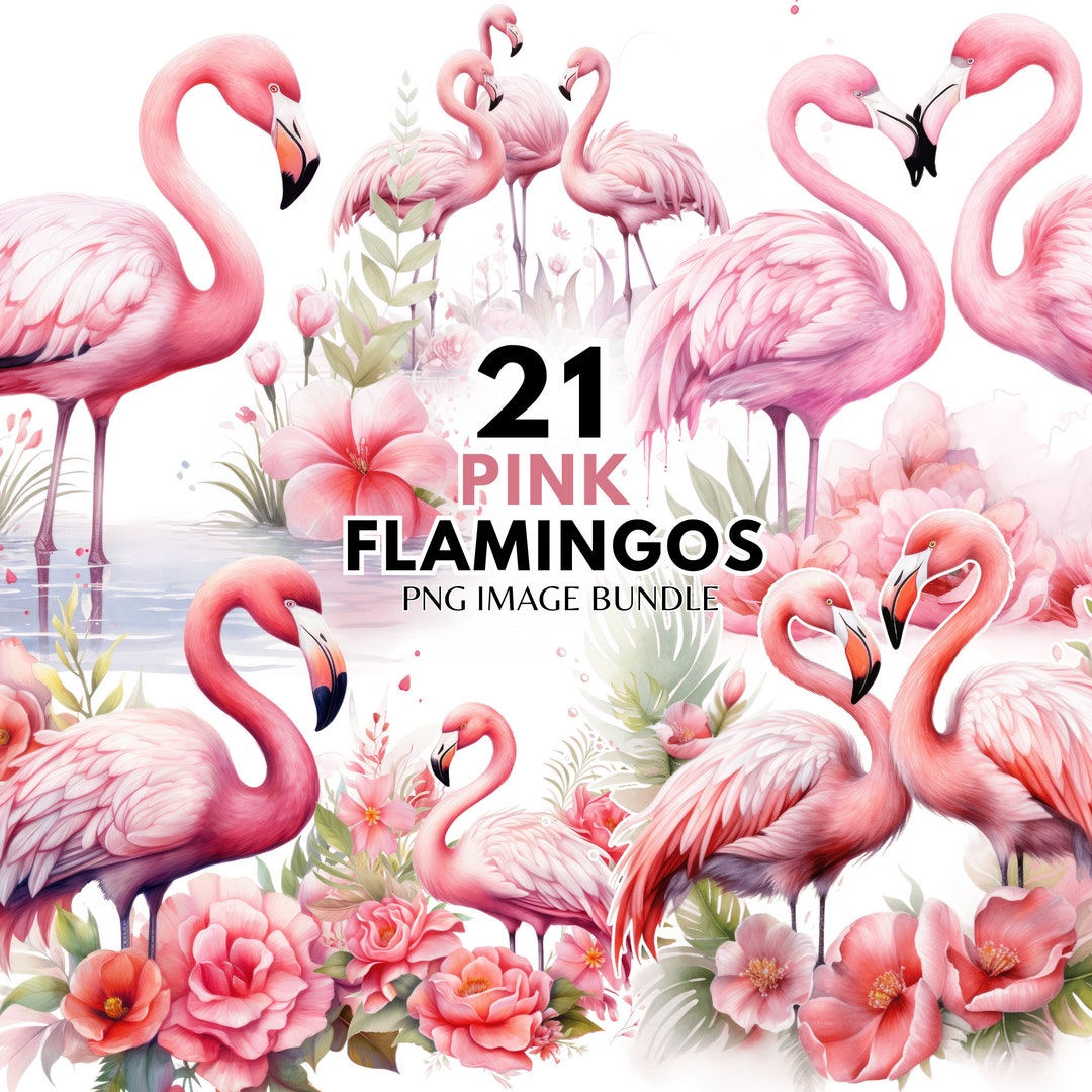 Pink Flamingo Clipart Watercolor Floral Clipart Pink Flamingo PNG ...
