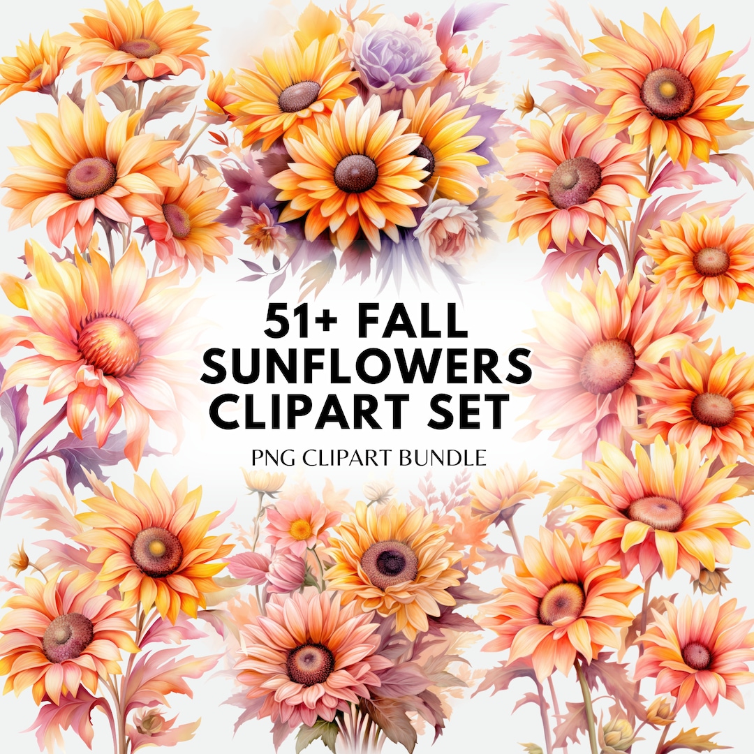 Fall Sunflower Clipart PNG Bundle Fall Flower Clipart Png Watercolor ...