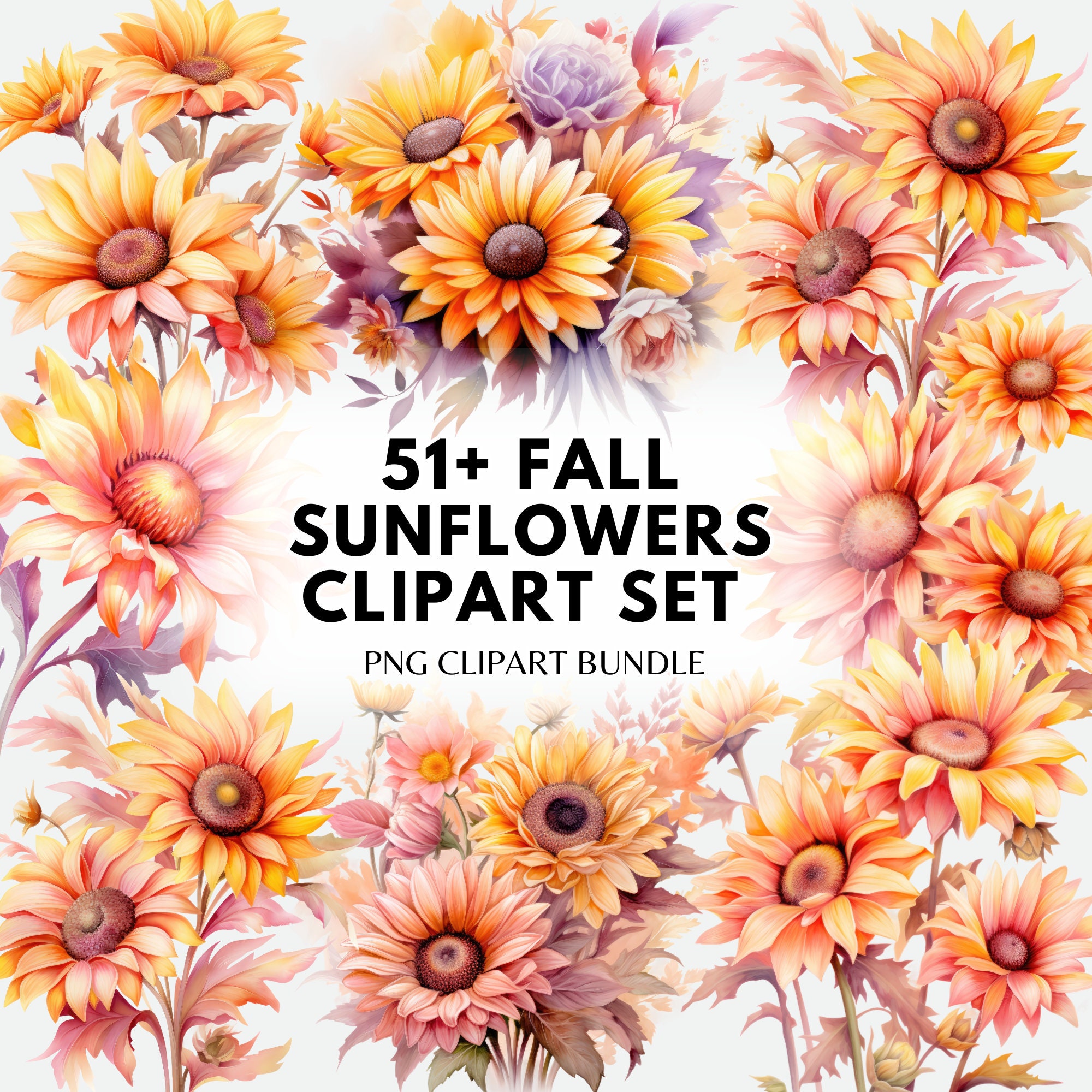Fall Sunflower Clipart PNG Bundle Fall Flower Clipart Png - Etsy
