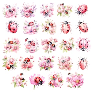 Spring Ladybug Clipart Watercolor Floral Clipart Pink Ladybugs PNG ...