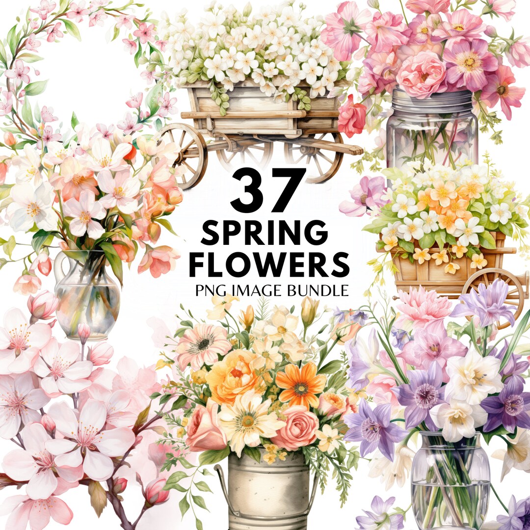 Spring Flowers Clipart Watercolor Spring Floral PNG Wildflowers Spring ...