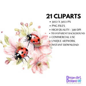 Spring Ladybug Clipart Watercolor Floral Clipart Pink Ladybugs PNG ...