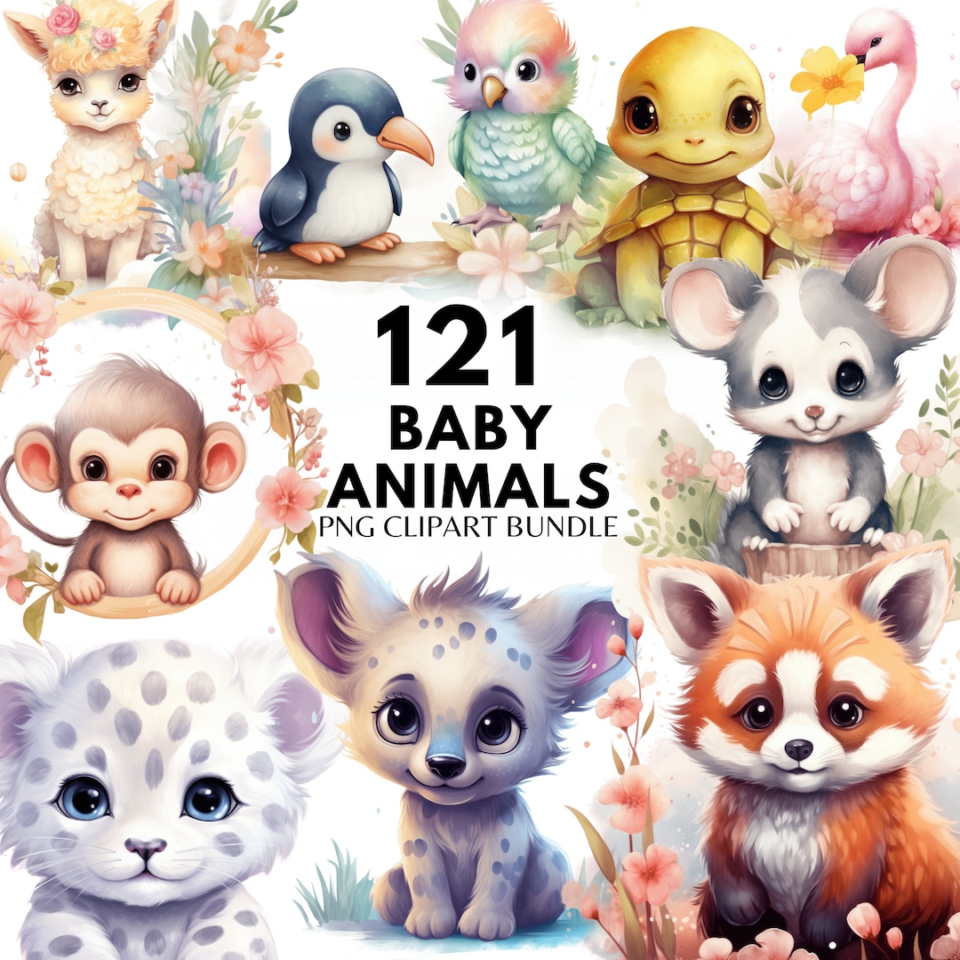 Baby Animal Clipart Watercolor Animal Cuteness PNG Animal Sticker Zoo ...