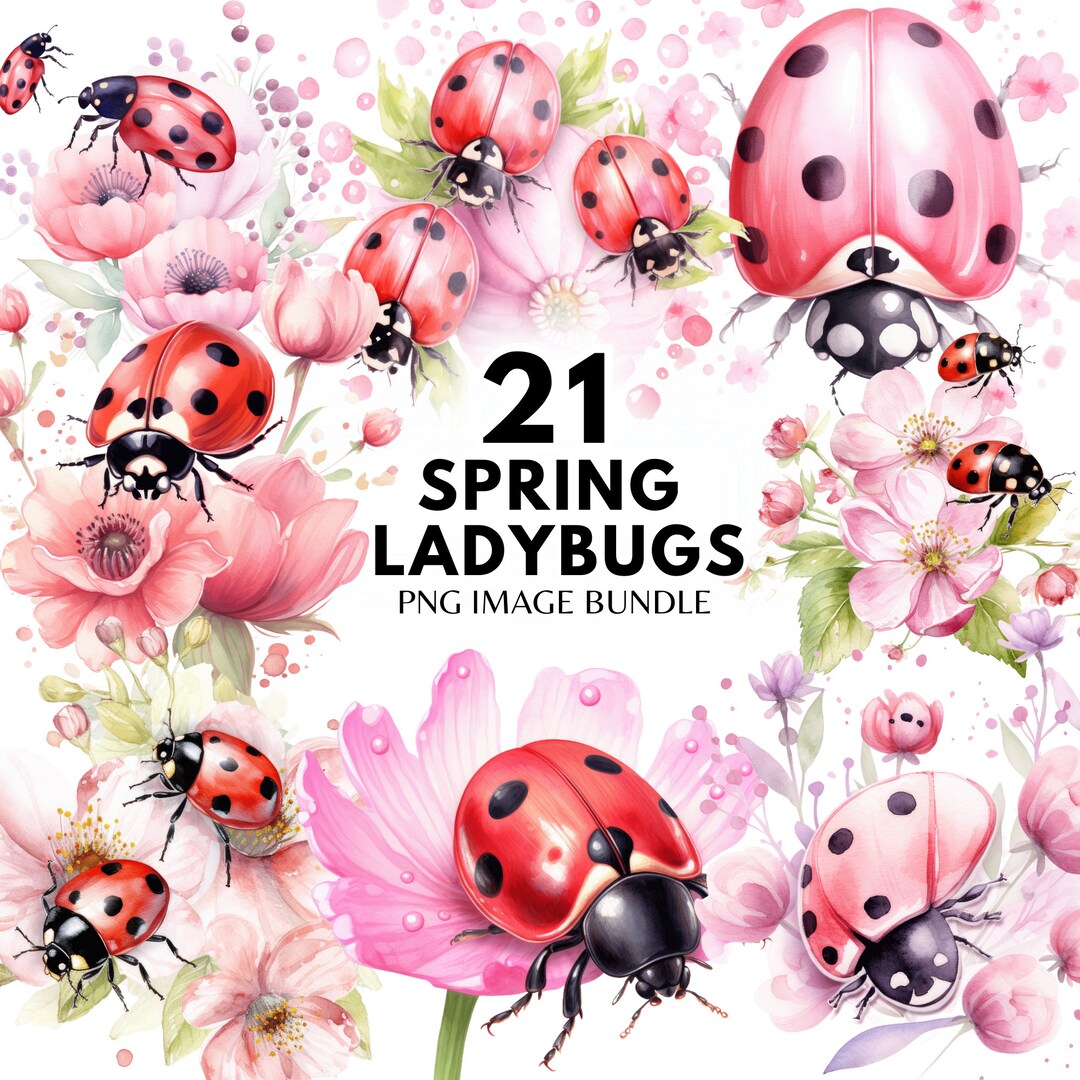 Spring Ladybug Clipart Watercolor Floral Clipart Pink Ladybugs PNG ...