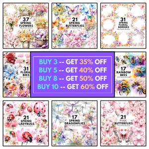 Spring Ladybug Clipart Watercolor Floral Clipart Pink Ladybugs PNG ...