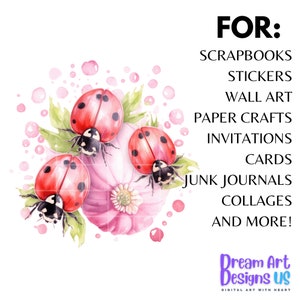 Spring Ladybug Clipart Watercolor Floral Clipart Pink Ladybugs PNG ...