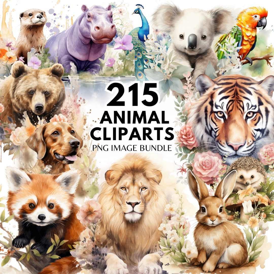 Animal Clipart Watercolor Animal Kingdom PNG Animal Sticker Zoo Animal ...
