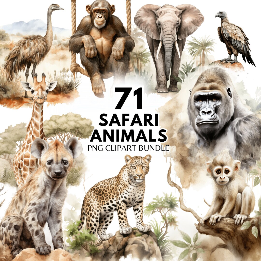 Safari Animal Clipart Watercolor Animal Kingdom PNG Animal Sticker Zoo ...