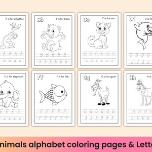 Printable Preschool Kindergarten Activity Workbook Bundle | Alphabet ...
