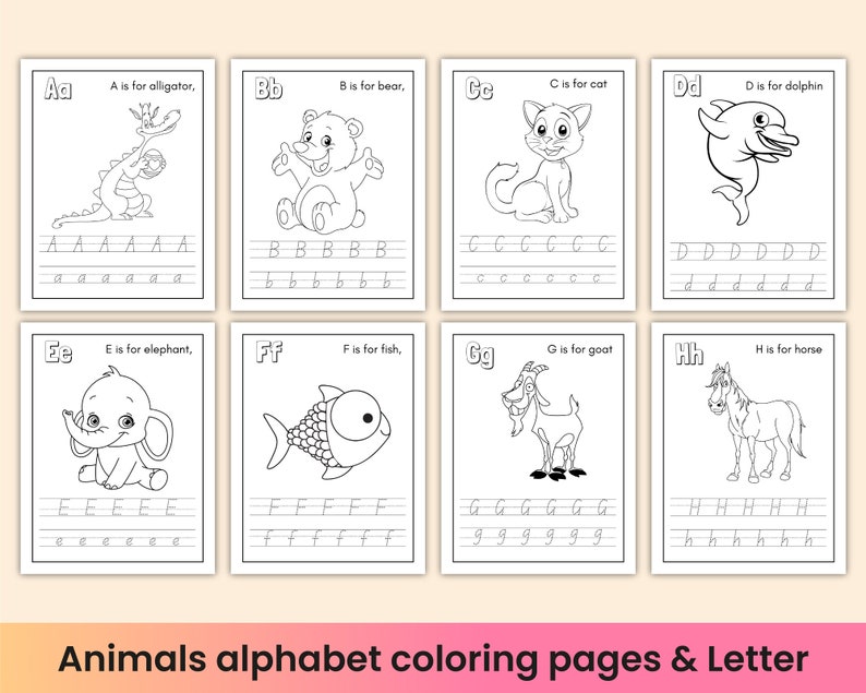 Printable Preschool Kindergarten Activity Workbook Bundle | Alphabet ...