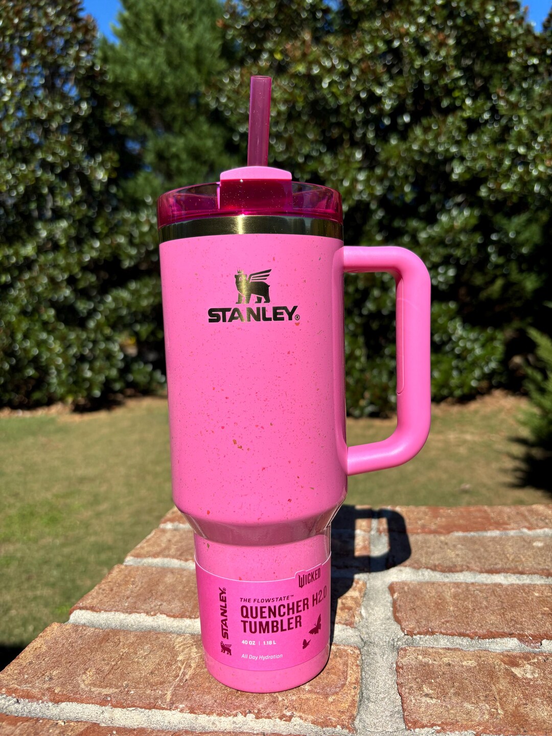 Wicked X Glinda 40 Oz Cold Cup Wicked Quencher and Tumbler - Etsy
