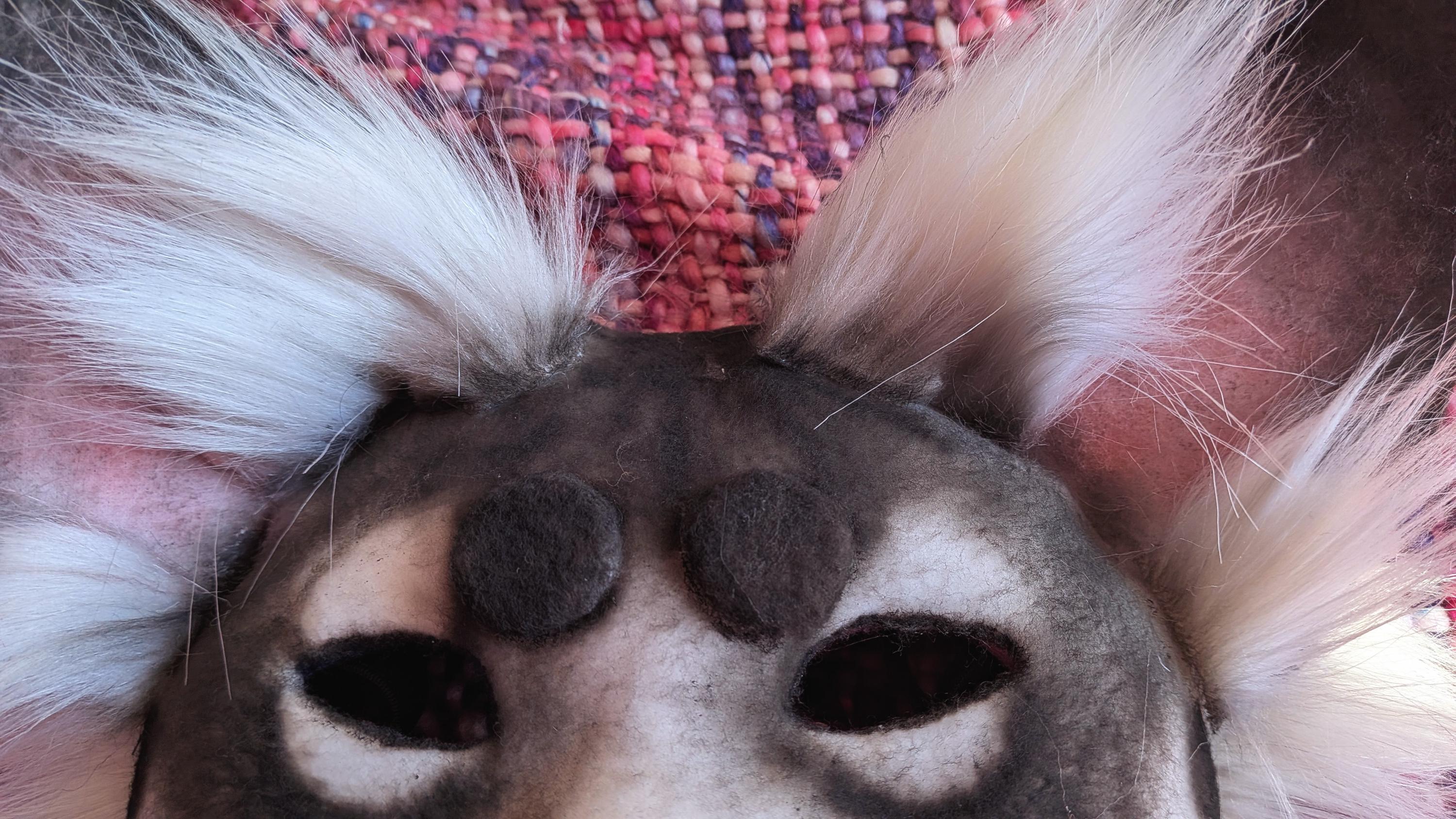 Black and White Cat Mask ! | HIGH QUALITY PREMADE | Therian Furry ...