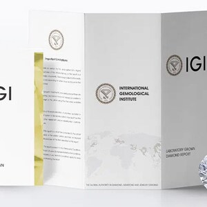 IGI Certificate Charge - Etsy