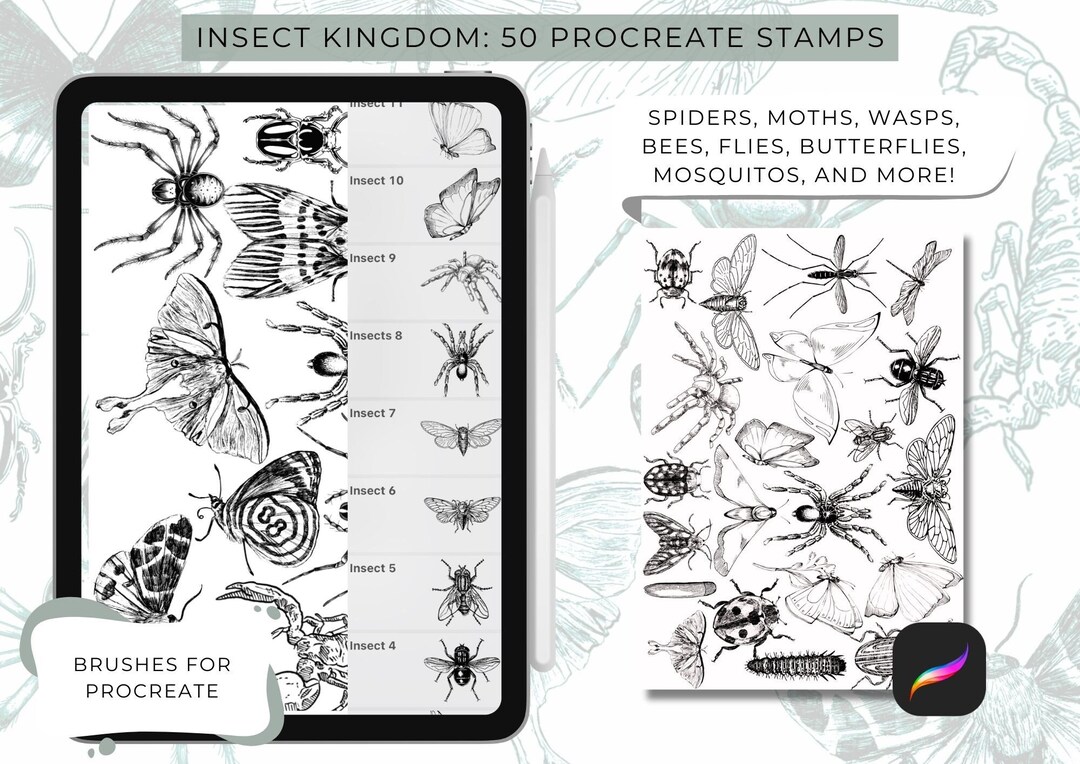 Bugs Procreate Stamps Set - 50 Brushes of Butterflies, Dragonflies, Bees, and More - Instant ...